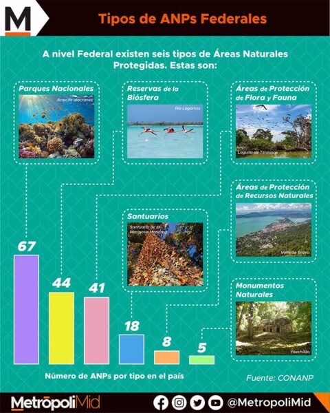 150 Tipos de ANPs Federales | MetrópoliMid